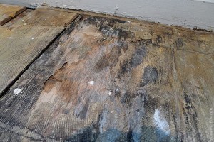 Kitchen floor demolition derby. | Door Sixteen
